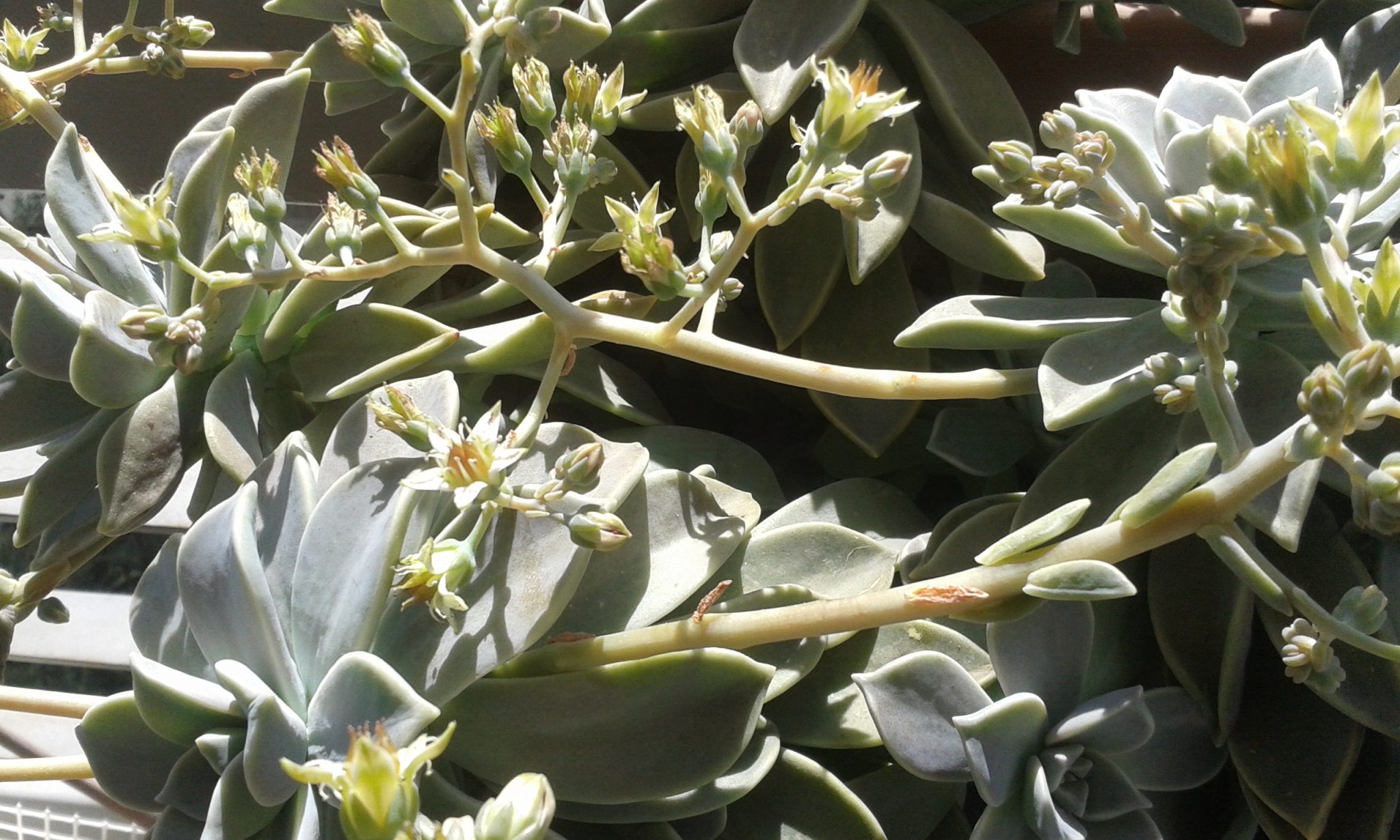 Don't miss Equinox, the first day of Spring on March 20th