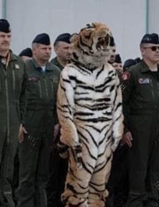 NATO Tiger Meet 2022 Exercise kicks off in Araxos, Greece (videos)