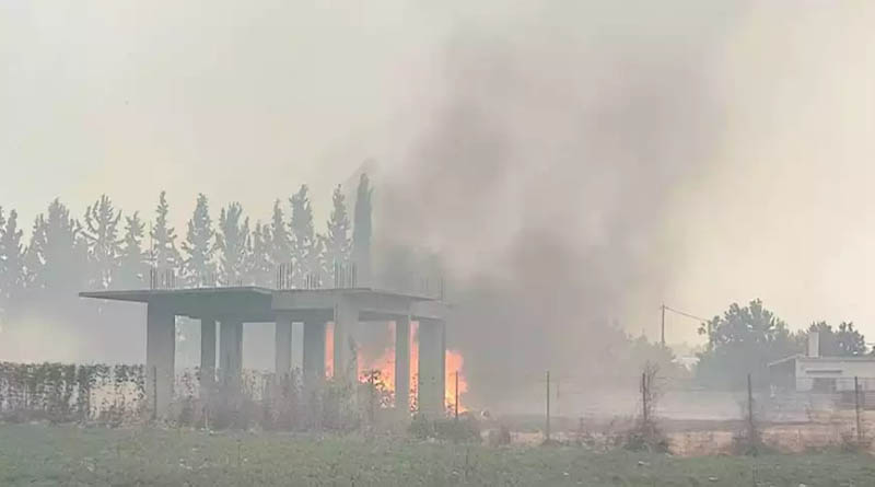 Seaside resort of Dilesi evacuated as big fire is ranging (pcts, videos)