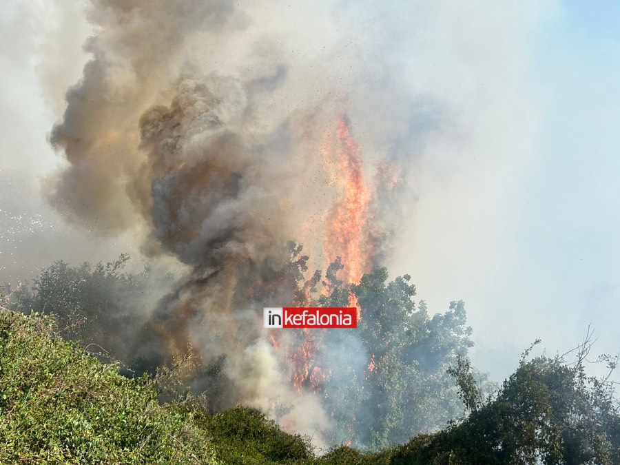 Wildfire in Kefalonia leads to evacuations (videos)